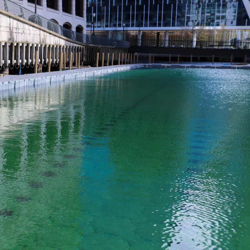 Sea Lanes Canary Wharf | London’s Leading Open Water Swimming